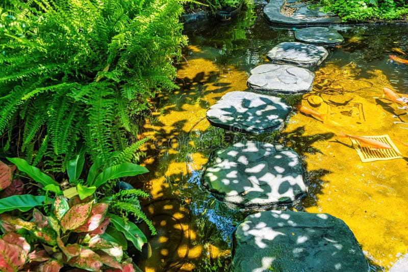 Stone Platform, Walkway Across the Garden Fish Pond Stock Image - Image ...