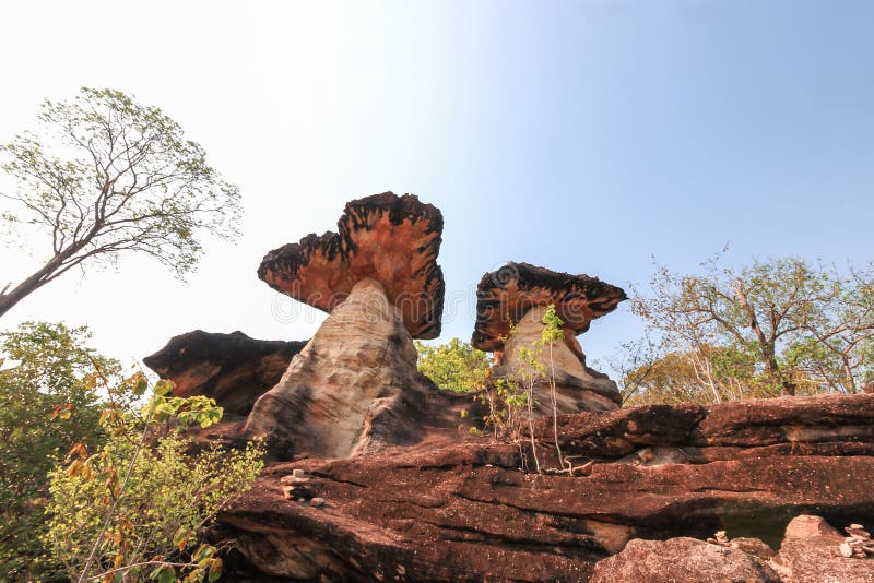 Stone pole in the forest stock photo. Image of henge - 71550320