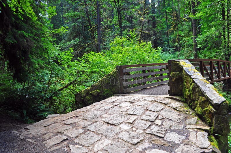 Stone Ramp To Forset Bridge Stock Image - Image of foliage, green: 15385791
