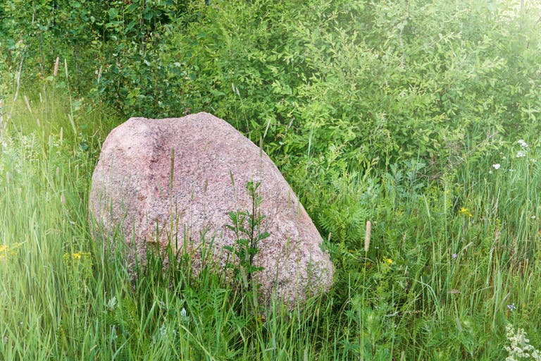Stone Red Boulder. Large Stone Boulder in Green Forest, Surrounded by ...