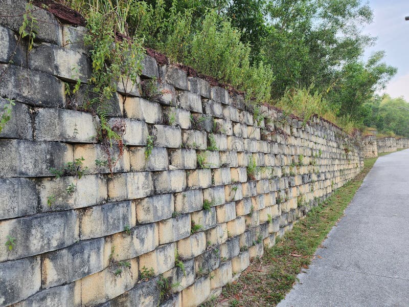 Stone Retaining Wall with Vegetation Along a Paved Pathway Stock Image ...