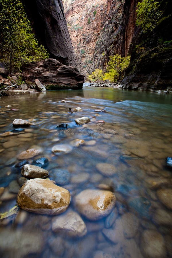 Stone in the river stock photo. Image of stream, zion - 22180044