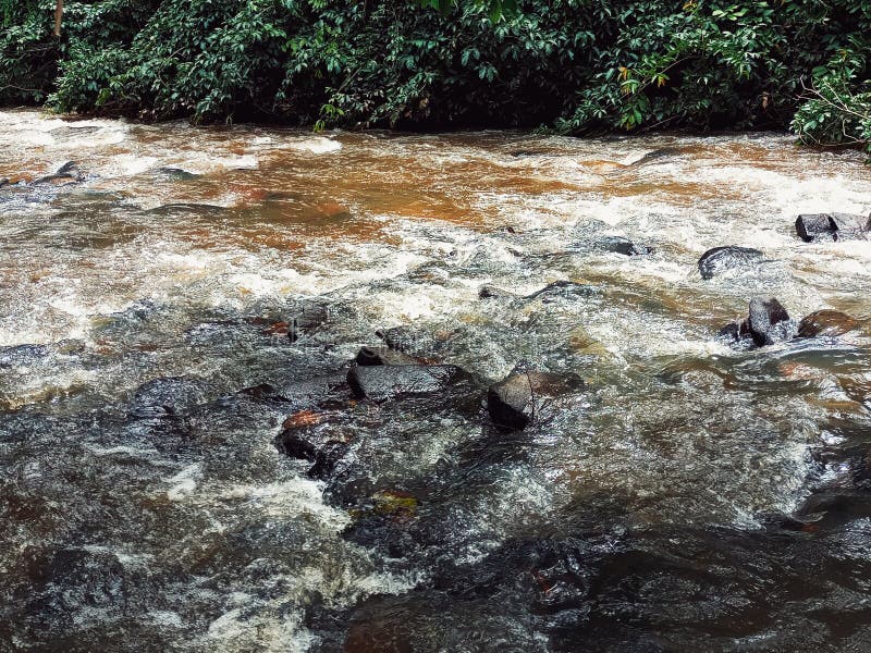Stone River with a Clear Water Current in the Amazon Region. Stock ...