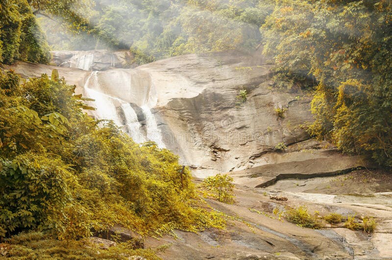 Stone River in Multi Color Tree Leaf in Forest, Water Fall in Forest ...