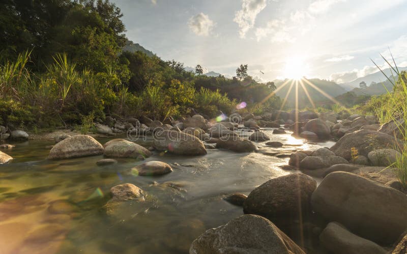 Stone River and Sun Ray in Forest, River Stone and Tree with Sun Beam ...