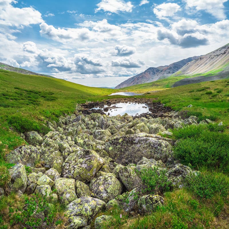 Stone Riverbed in the Summer Alpine Highlands. the Riverbed without ...