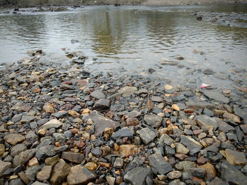 Stone in the riverside stock photo. Image of soil, wildlife - 236927466