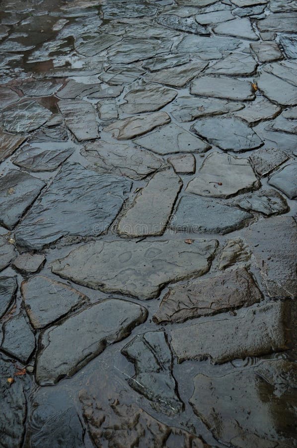 Stone road stock photo. Image of natural, bumpy, road - 25648500