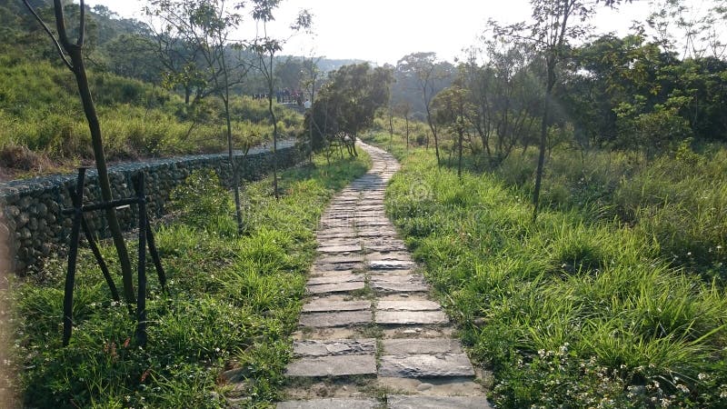 Stone road on hill stock photo. Image of hill, wood, small - 79253924
