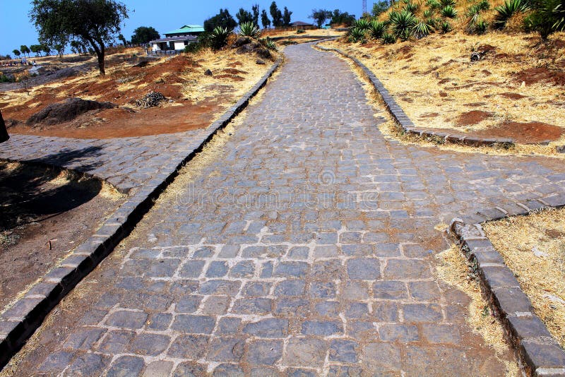Stone road stock image. Image of forest, photograph, bird - 84419819