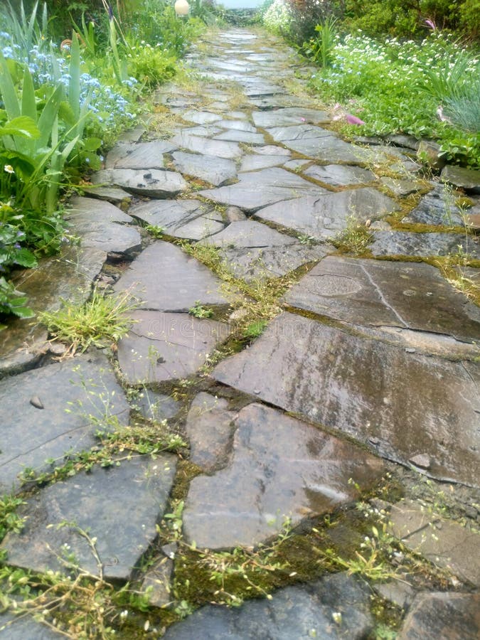 Stone Road Poland stock image. Image of plant, flower - 251182883