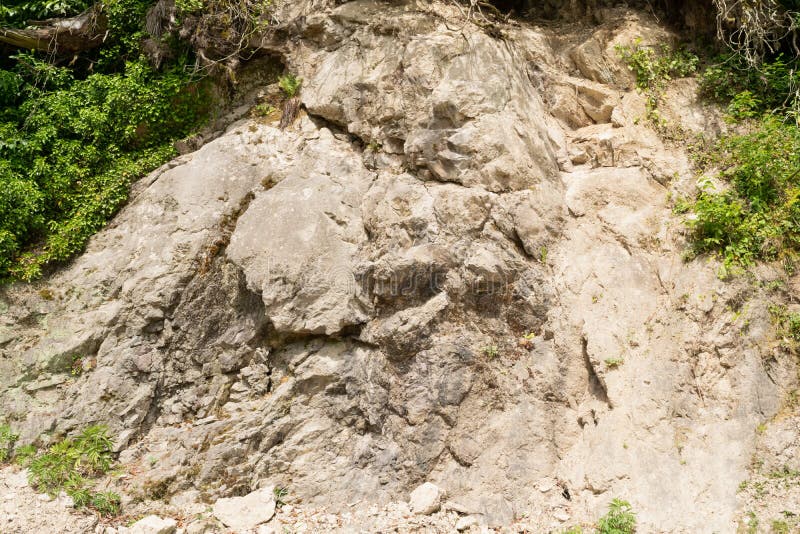 Stone Rock on Which Grass and Trees Grow. Stock Photo - Image of ...