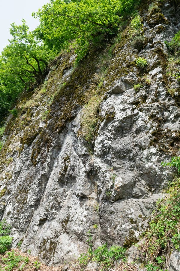 Stone Rock Overgrown with Moss and Grass. Stock Photo - Image of moss ...