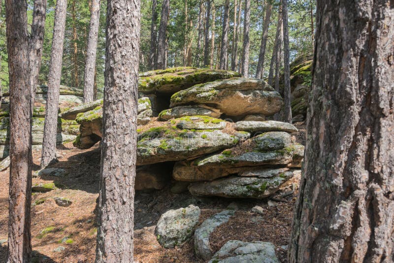 Stone Rock in the Foreground are Tree Trunks Stock Image - Image of ...