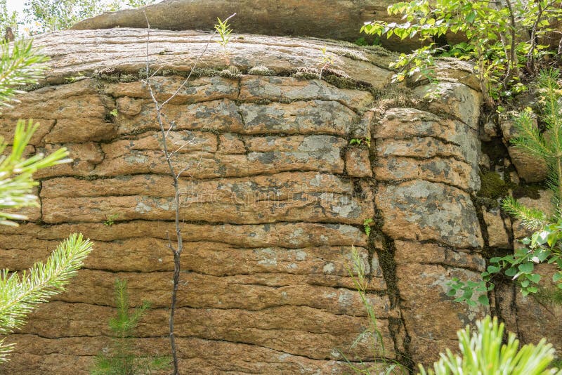 Stone rock in the forest stock photo. Image of stone - 123874100