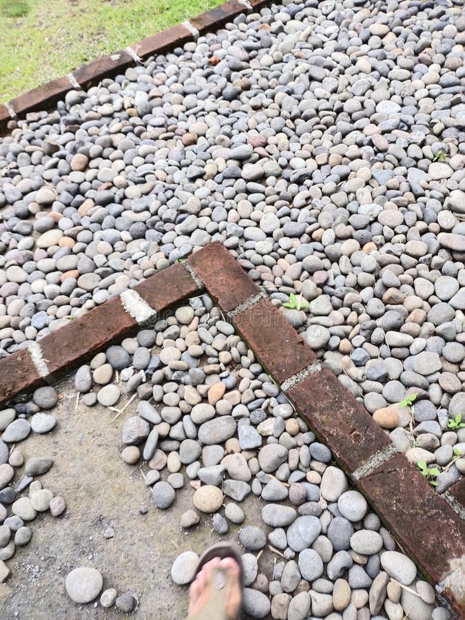 Stone rock grass stock photo. Image of stone, pattern - 203429980