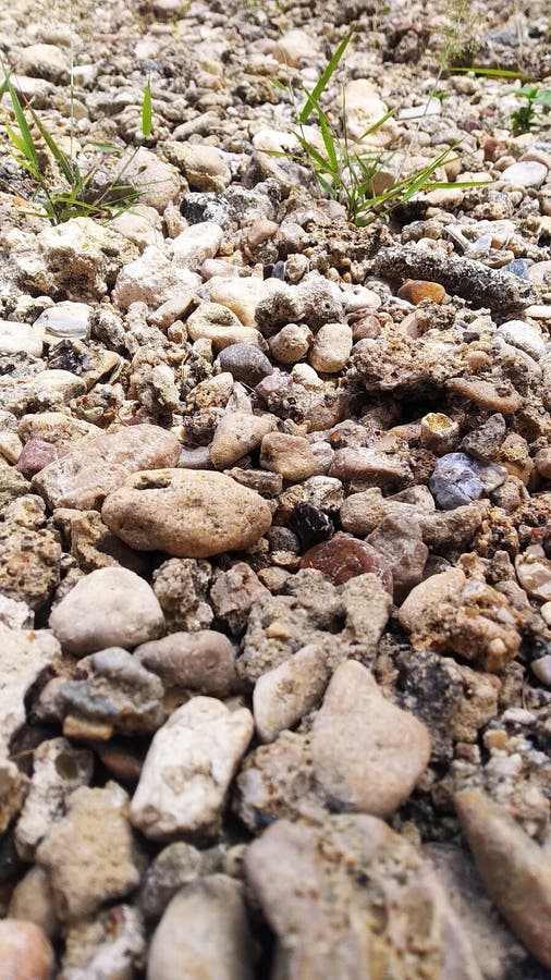 Rock with Grass on the Coast of the Cantabrian Sea Stock Photo - Image ...