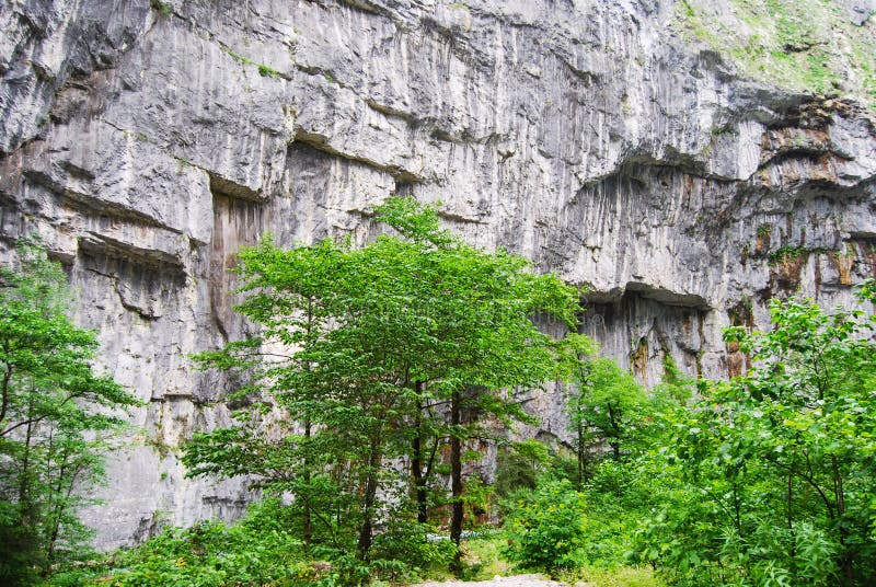 Stone Rock, Stone Mountain. Green Trees Grow in Front of the Stone ...