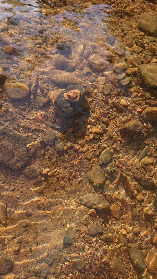 The Stone and Rock in Stream Under Water Stock Image - Image of water ...
