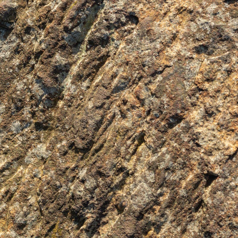 Stone/Rock Surface Texture stock image. Image of brown - 164195529