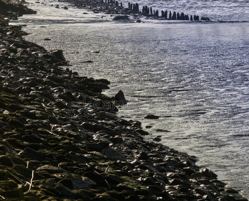 Stone Rubble on the Shore of the North Sea Beach at Low Tide with ...