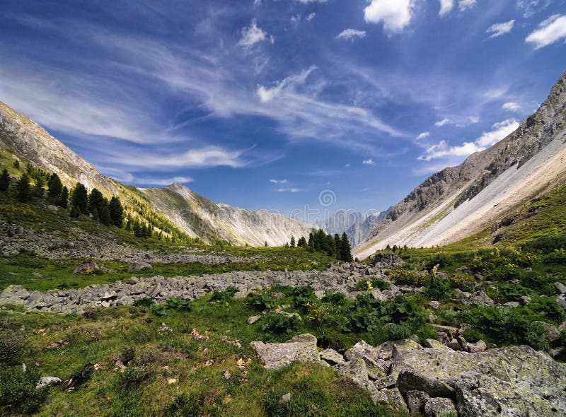 Stone Run in an Alpine Meadow Stock Image - Image of alpine, rock: 26995101
