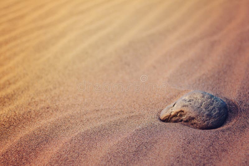 Stone in the Sand. Desert Sand Dunes Ripples Stock Image - Image of ...