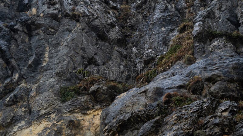 .Stone Scale Background - a Textured Surface of Various-sized Stones ...