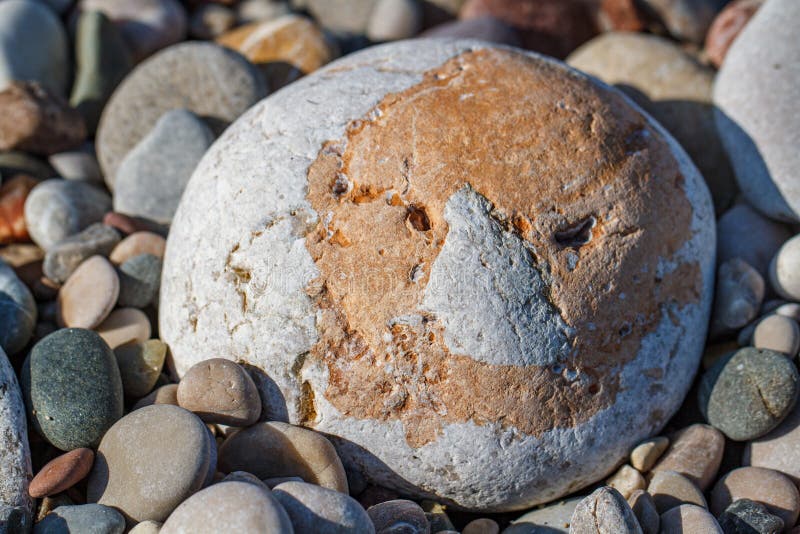 Stone Shape Seems Like Bird Stock Photo - Image of bird, side: 213369468