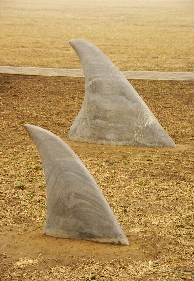 Stone shark fin in a park stock photo. Image of risky - 4776602