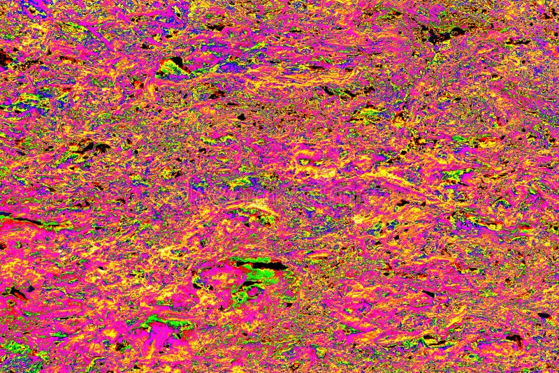 Stone, Shell Rock Texture Background. Texture of Shell Rock Limestone ...