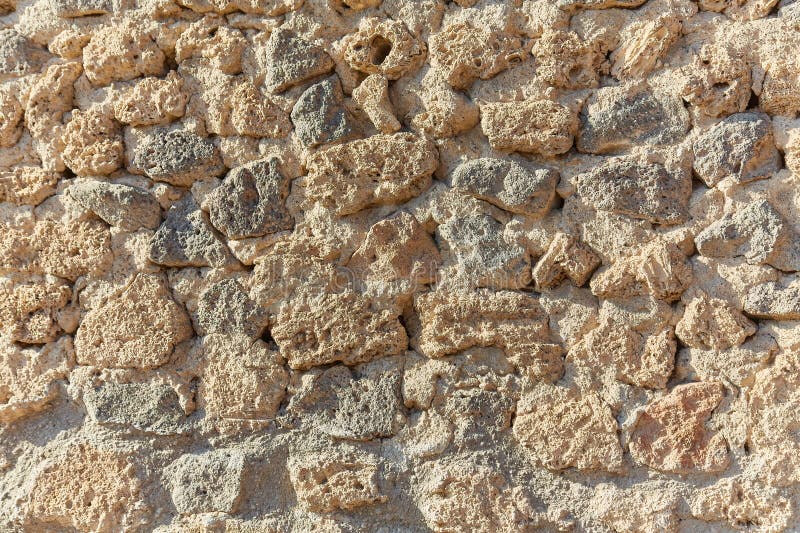 Stone, Shell Rock Texture Background. Texture of Shell Rock Limestone ...