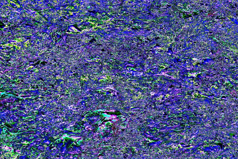 Stone, Shell Rock Texture Background. Texture of Shell Rock Limestone ...