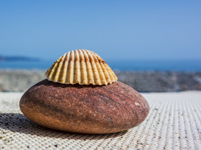 Stone and Shell on the Sea Shore Stock Photo - Image of equilibrium ...