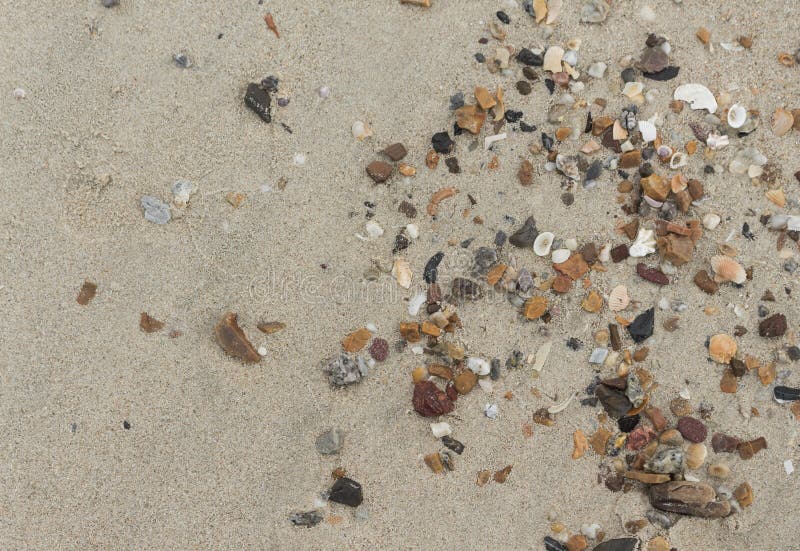 Stone,Shells in the Sand on the Beach in the Summer Stock Image - Image ...