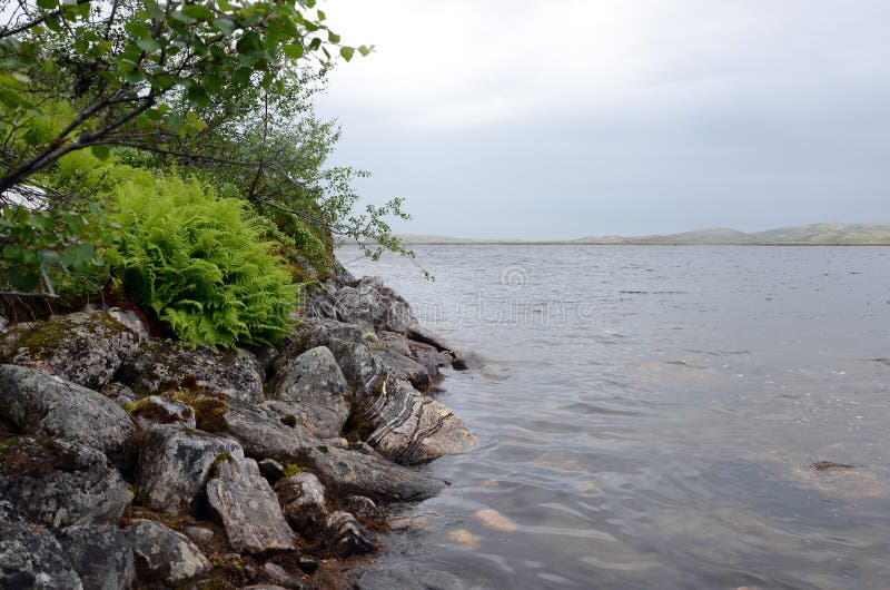 Stone Shore in the Arctic Tundra Stock Image - Image of places, europe ...