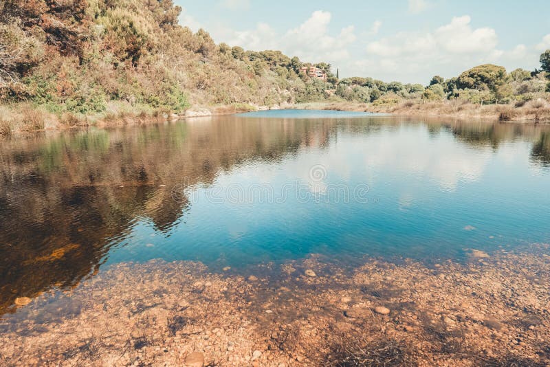 Stone Shore of a Small Lake Surrounded by Trees Stock Image - Image of ...