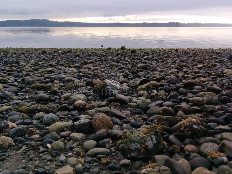 Stone Shoreline with Morning Light Stock Photo - Image of peaceful ...