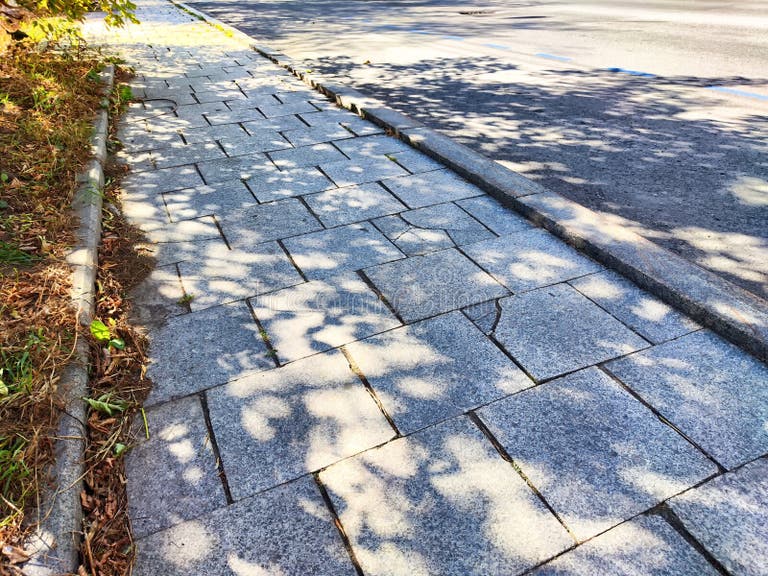 A Stone Sidewalk with Grass Growing between the Tiles and Shadows Cast ...
