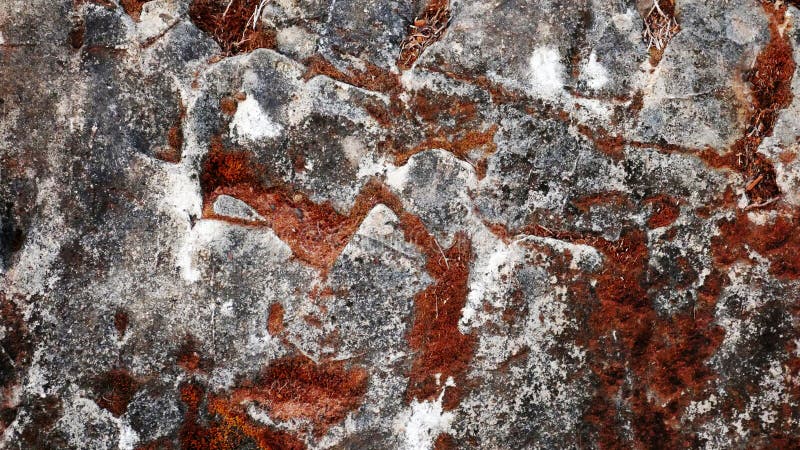 Stone skin stock image. Image of bright, christmas, busted - 141301581