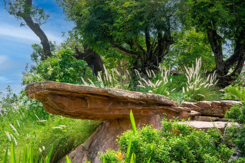 A Stone Slab Overhang, with Ornamental Grass Flowering, and Trees in ...
