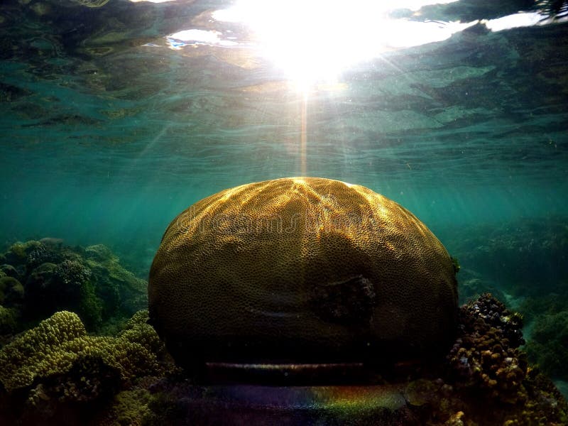 The Stone that Smiles when we See it Stock Photo - Image of underwater ...