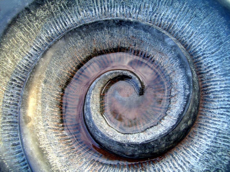 Stone snail stock photo. Image of stone, close, macro - 16464356