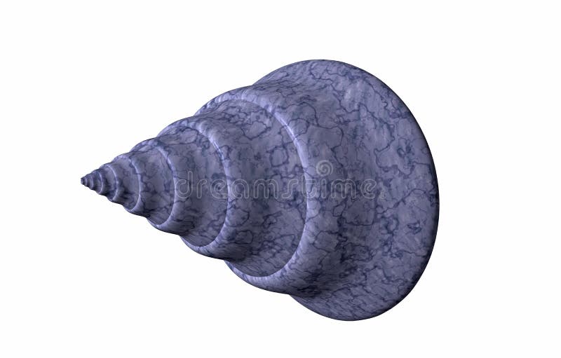 Stone spiral snail shells stock illustration. Illustration of turns ...