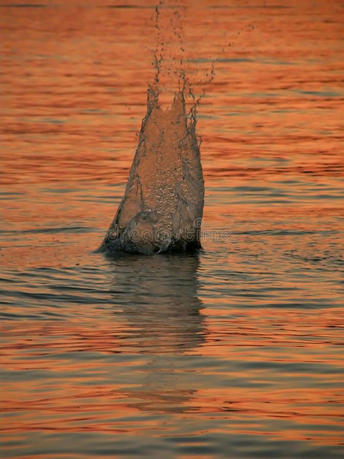 Stone Splash in Sea on Sunset Stock Image - Image of stone, sink: 10626523