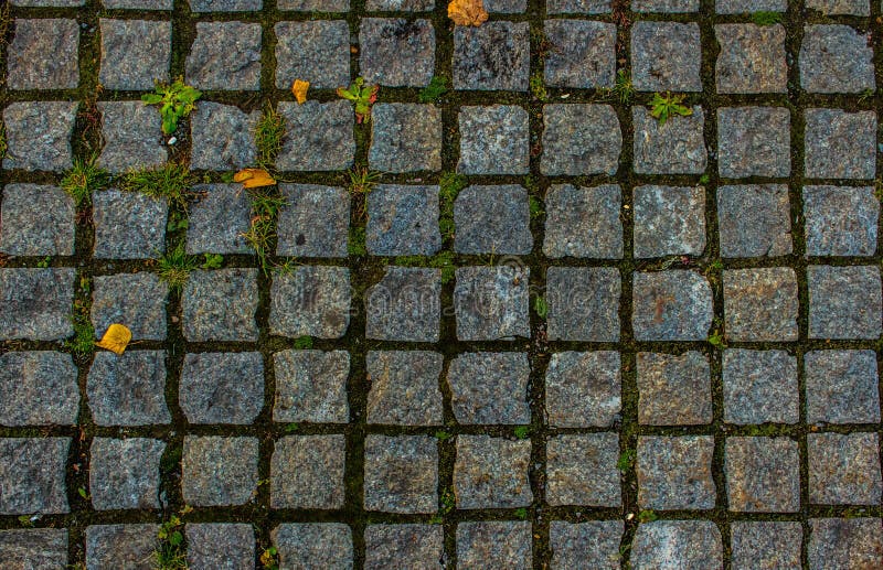 Stone Square Tile, Roadside Cover Stock Image - Image of pavement ...