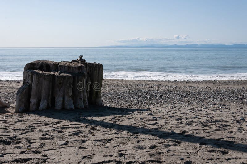 A Stone Stack at a Tree Stump at Dungeness Spit, Olympic Peninsula, USA ...