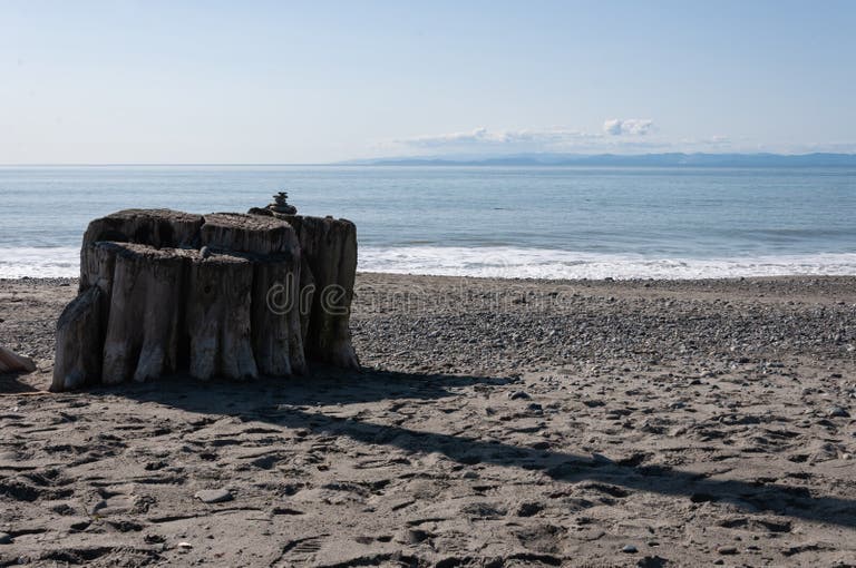 A Stone Stack at a Tree Stump at Dungeness Spit, Olympic Peninsula, USA ...