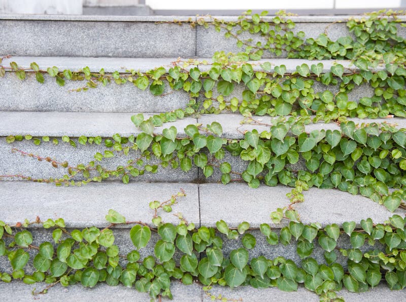 Stone stair stock image. Image of garden, spring, destination - 22533283