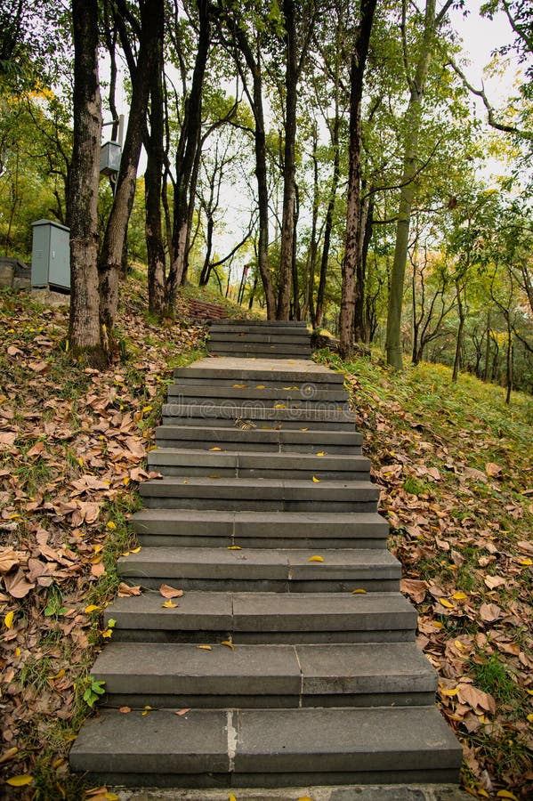 Stone Pathway outdoor stock image. Image of stone, enlightenment ...